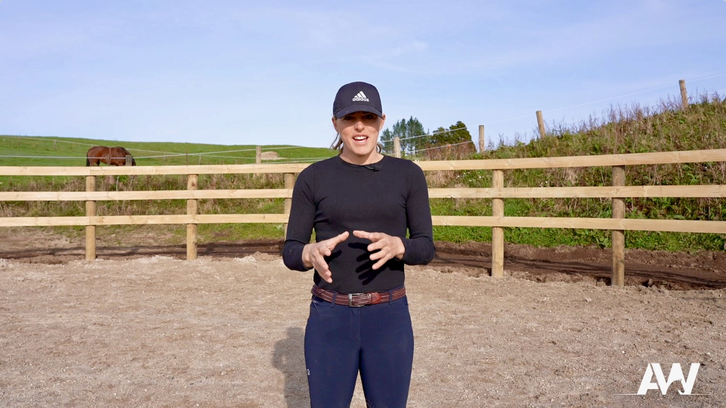 Position Work Introduction – Amanda's Training Series